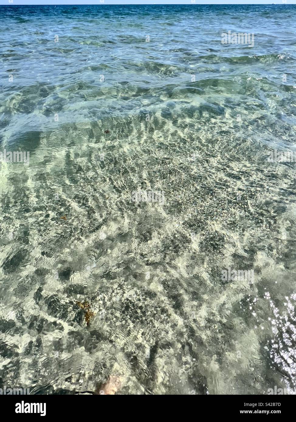 Wrack lines hi-res stock photography and images - Alamy