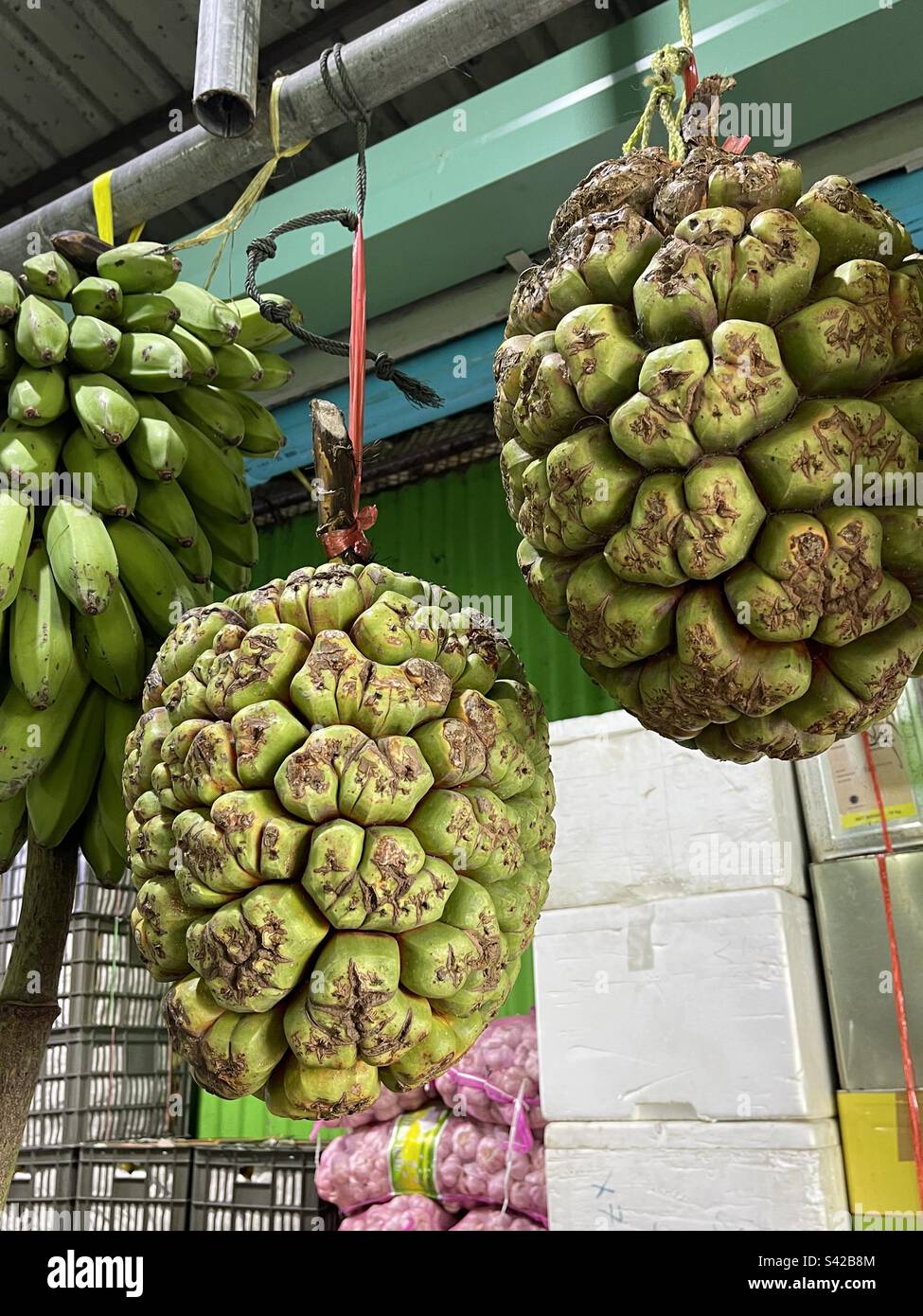 Hala fruit hi-res stock photography and images - Alamy