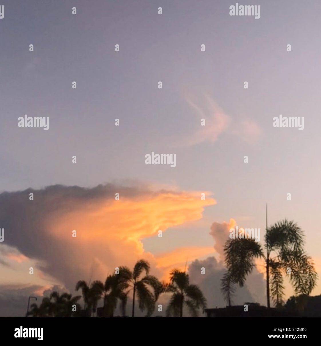 The afternoon sky view with a beautiful blend of color Stock Photo - Alamy