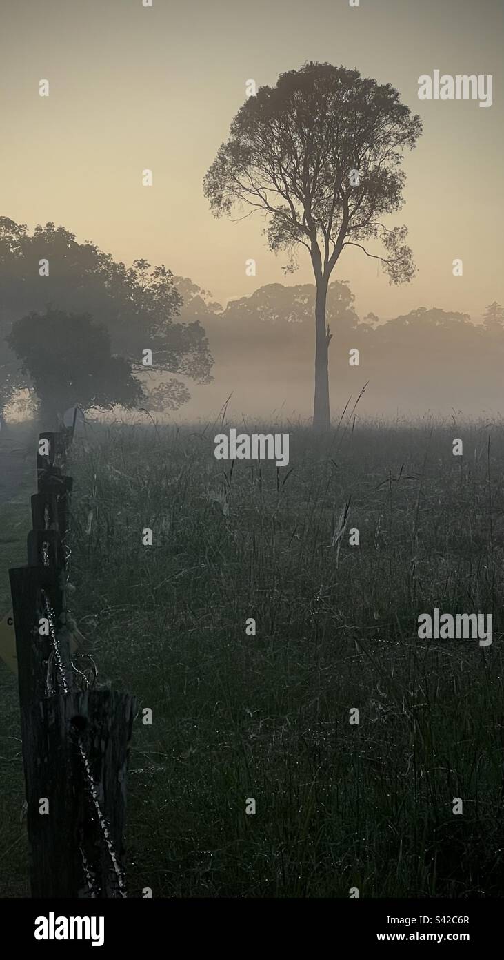 Misty morning sunrise over field hi-res stock photography and images ...