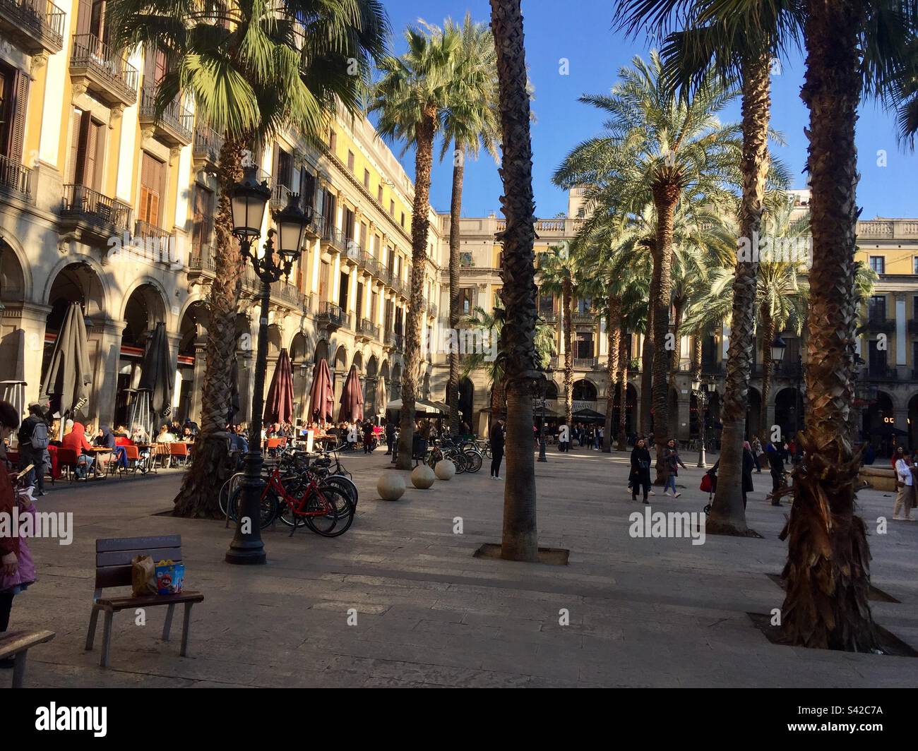 Palm tree placa reial smartphone stock photos and images - Alamy