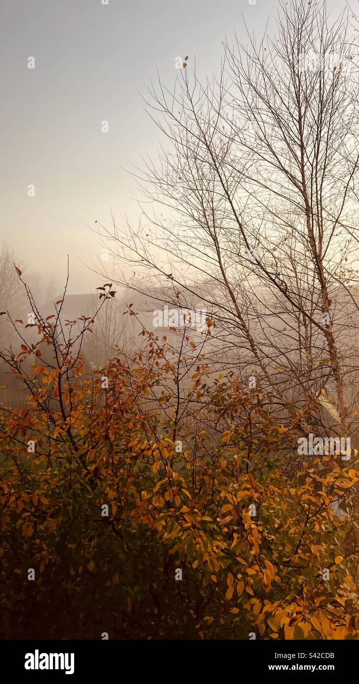 Fall in the suburbs hi-res stock photography and images - Alamy
