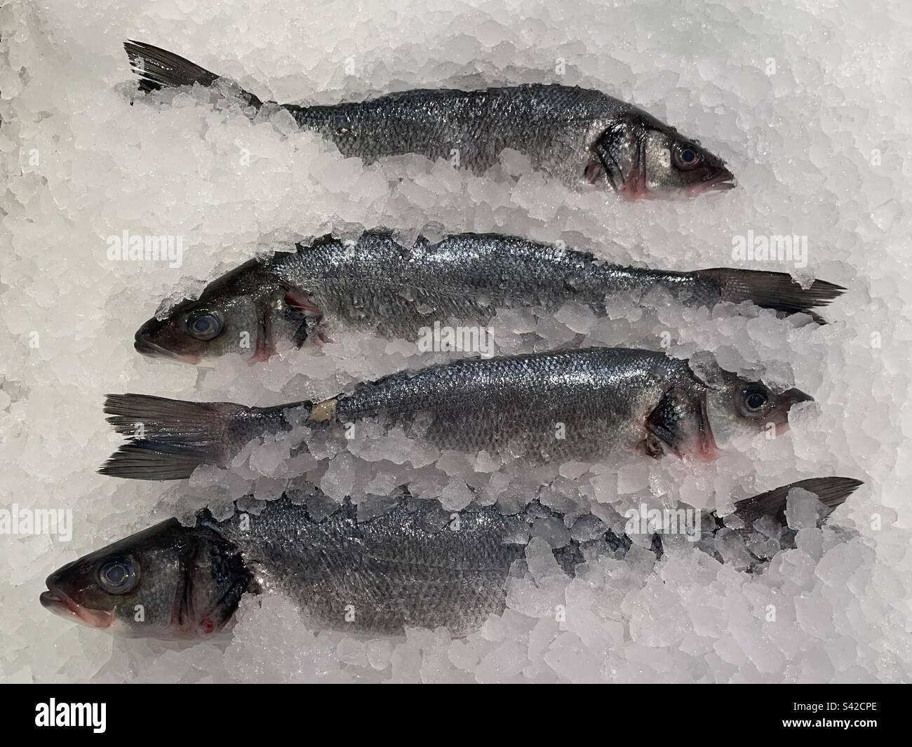 Frozen bed hi-res stock photography and images - Alamy