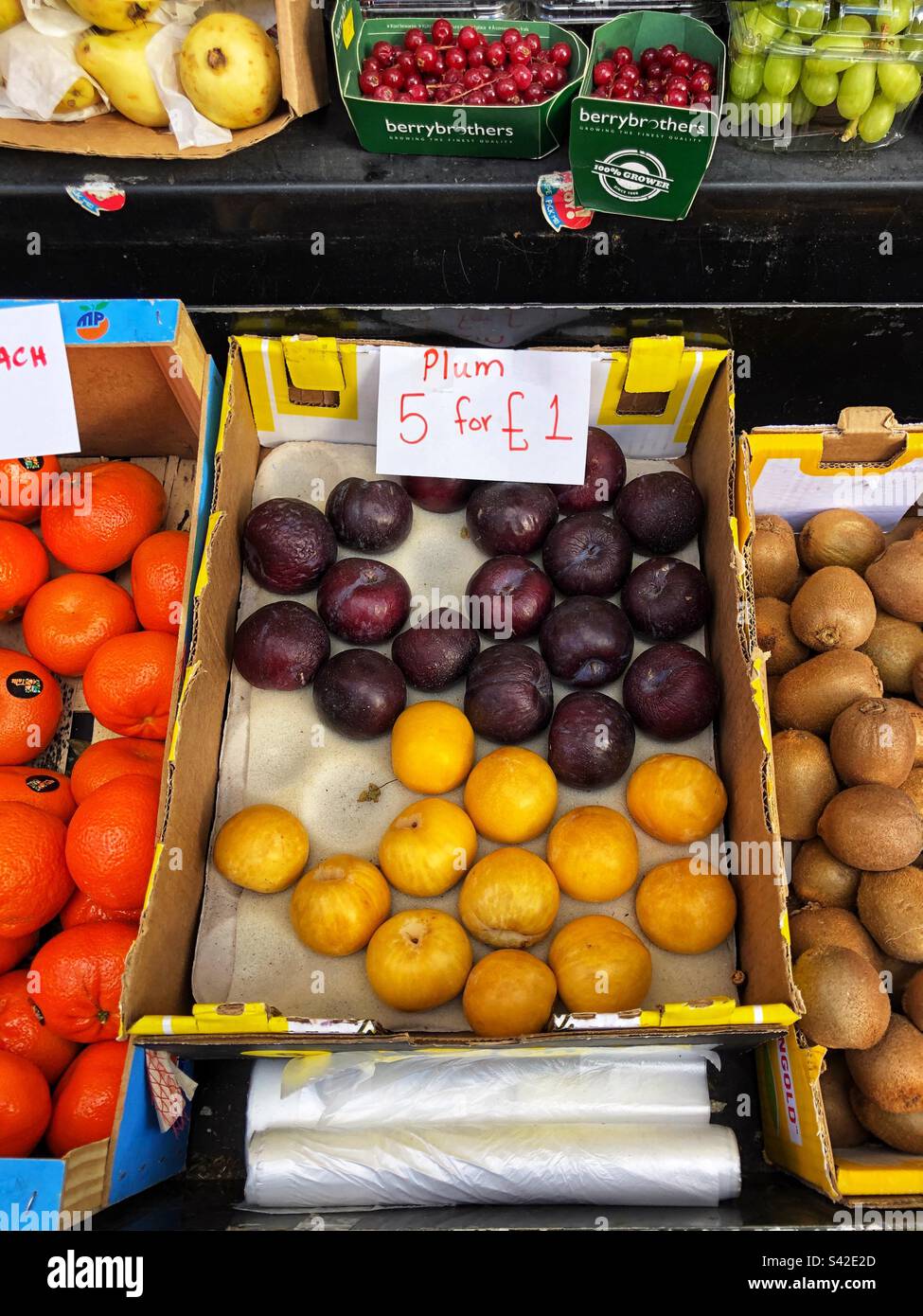 Plum varieties hi-res stock photography and images - Alamy