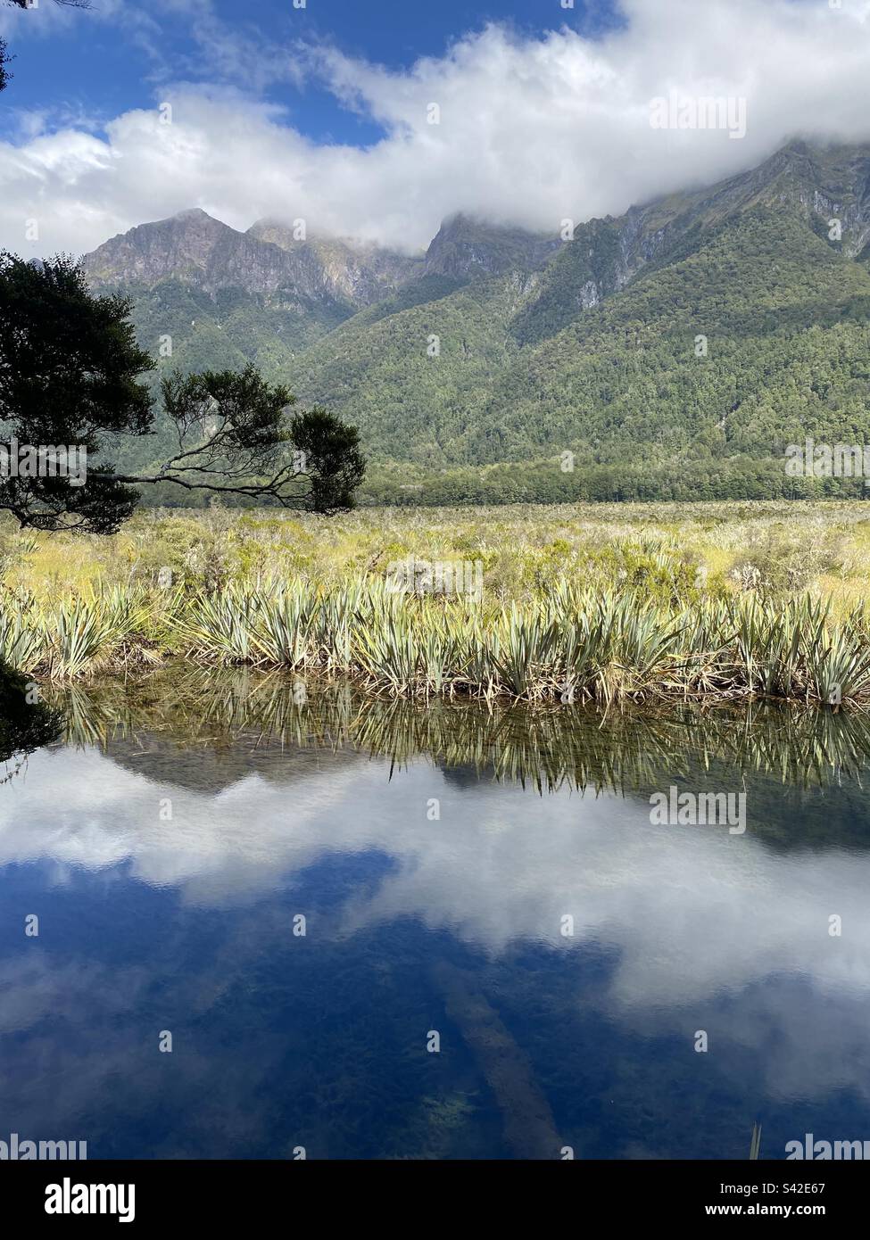 Magic mirror hi-res stock photography and images - Alamy