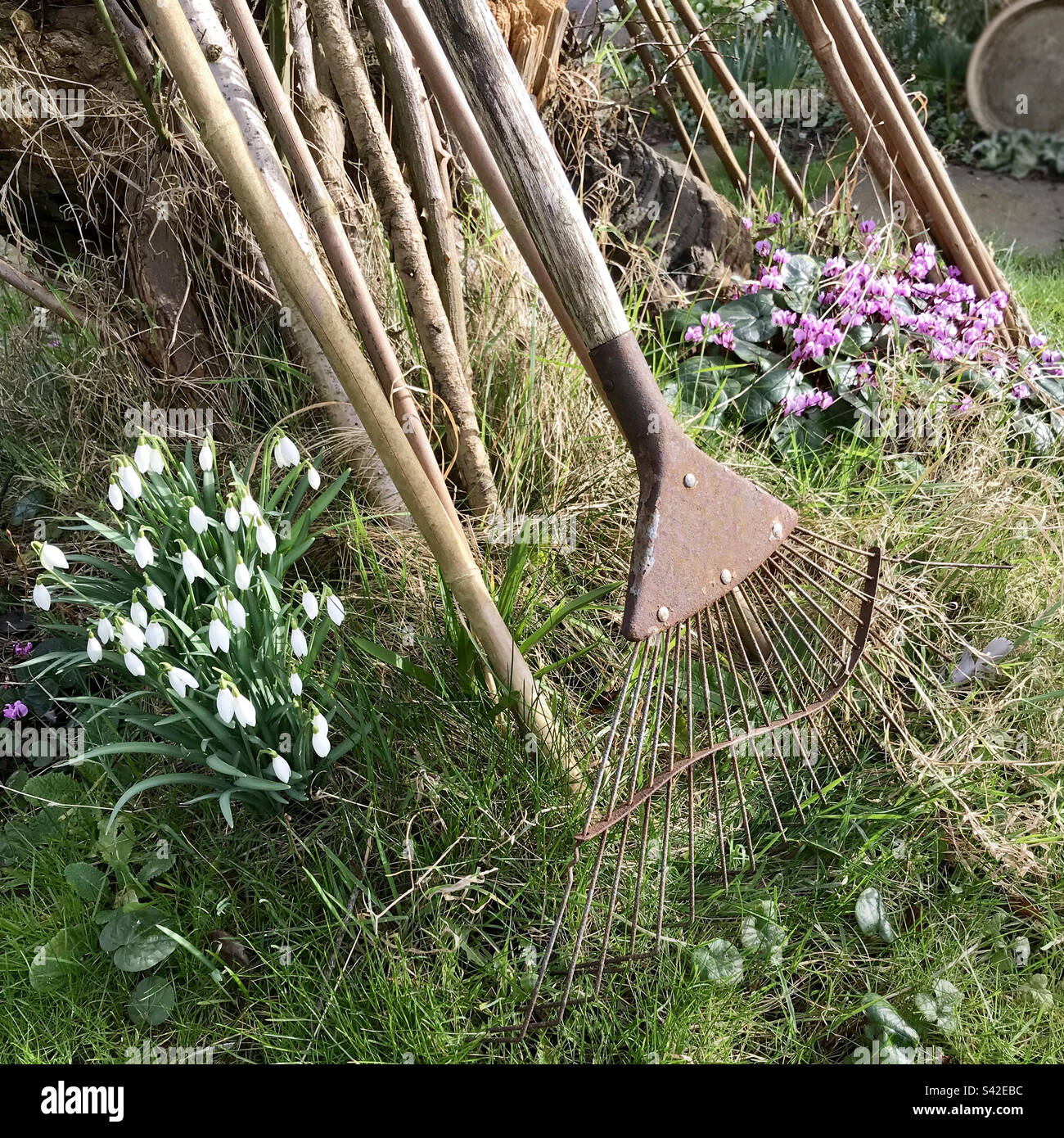 Take propped up hi-res stock photography and images - Alamy