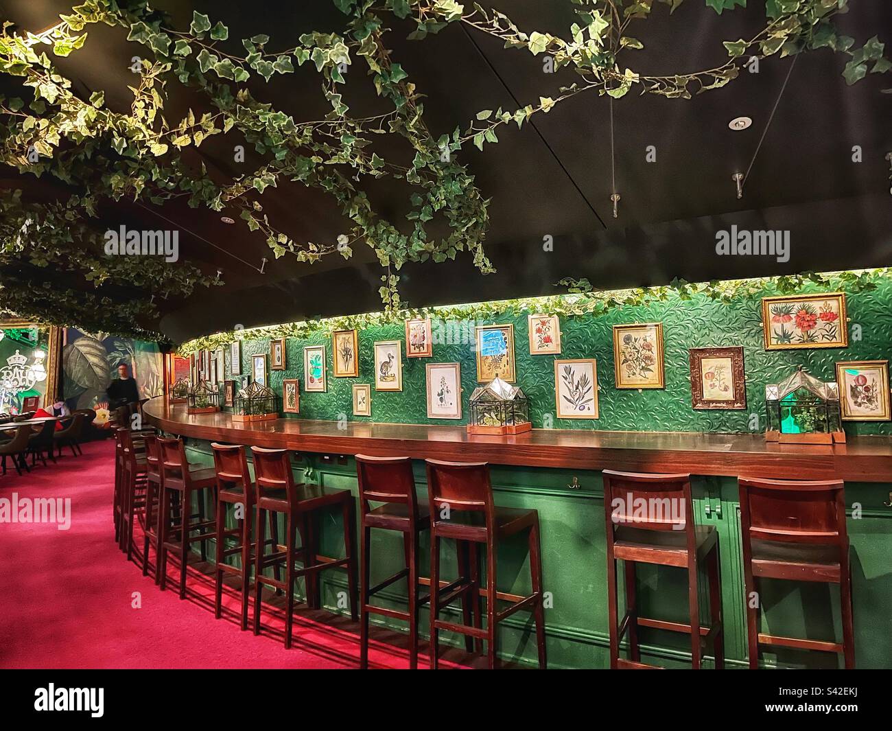 Kensington Gardens Bar is curved in the Royal Albert Hall serves the ...