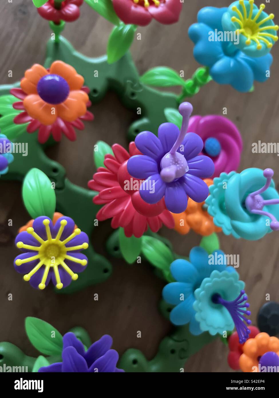 Educational child’s flower garden Stock Photo - Alamy