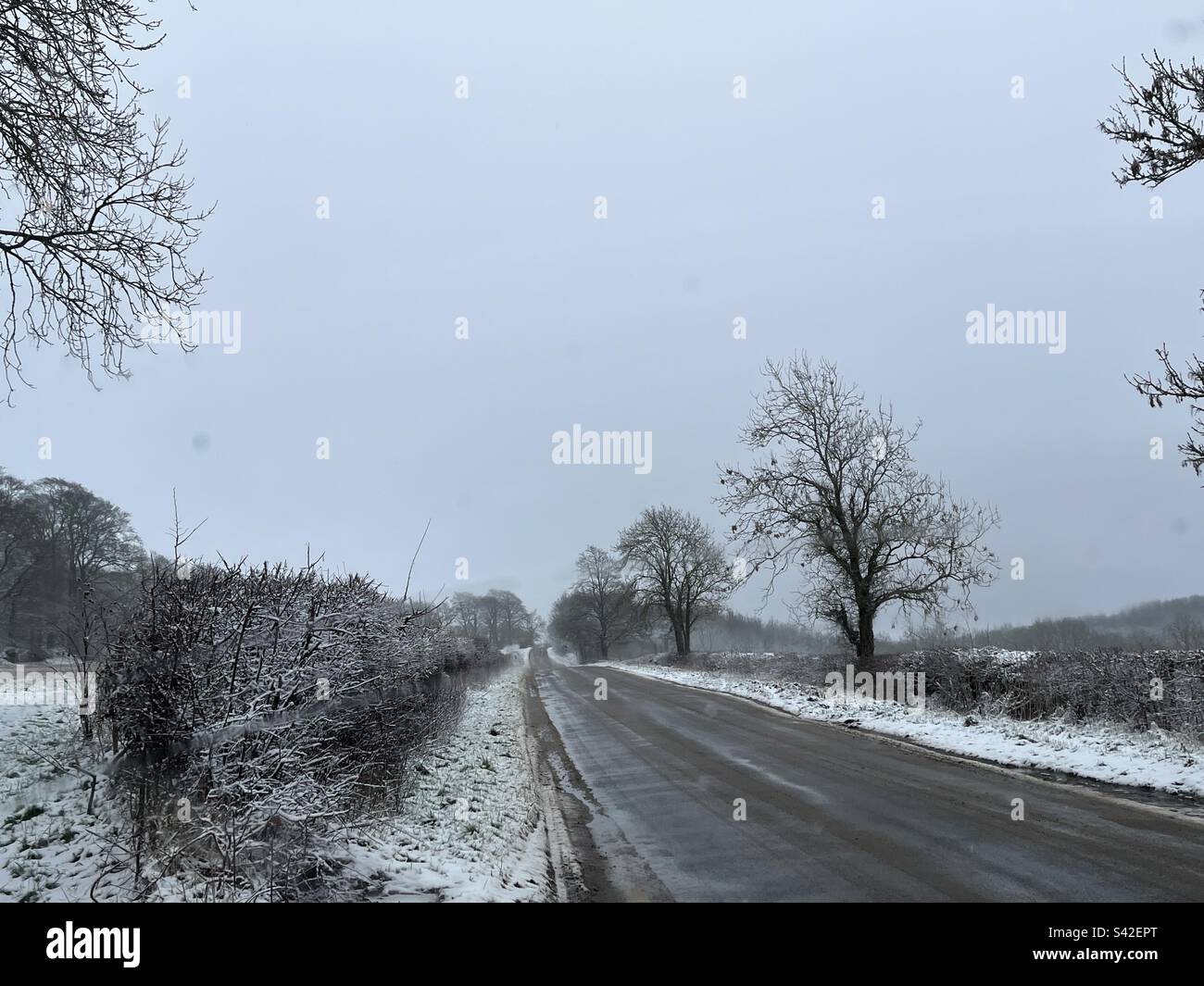 Wet march hi-res stock photography and images - Alamy