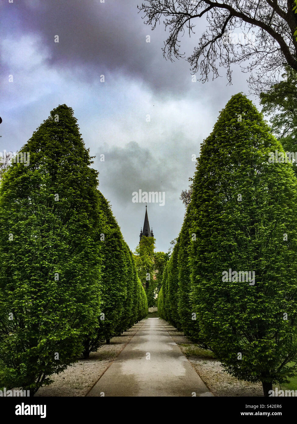 Alley of trees leading to a church Stock Photo - Alamy