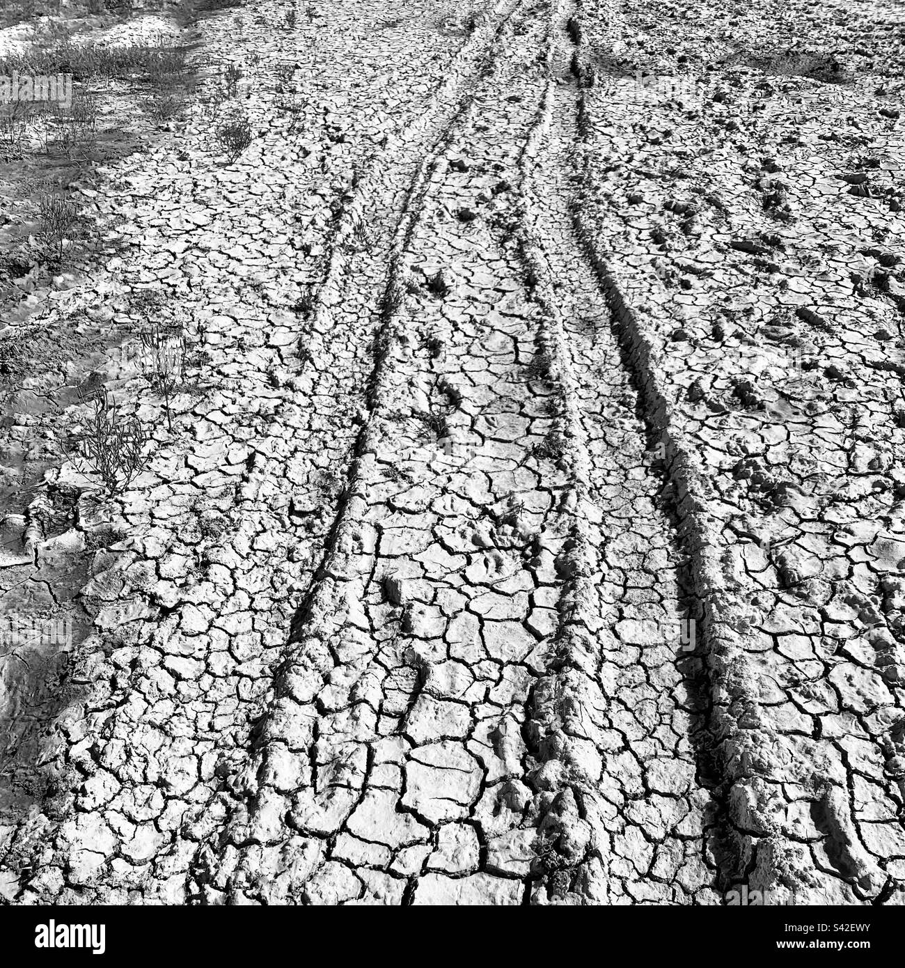 Dry mud and tracks of an pick-up vehicle between the Brownsville ship ... Dry mud and tracks of an pick-up vehicle between the Brownsville ship ...