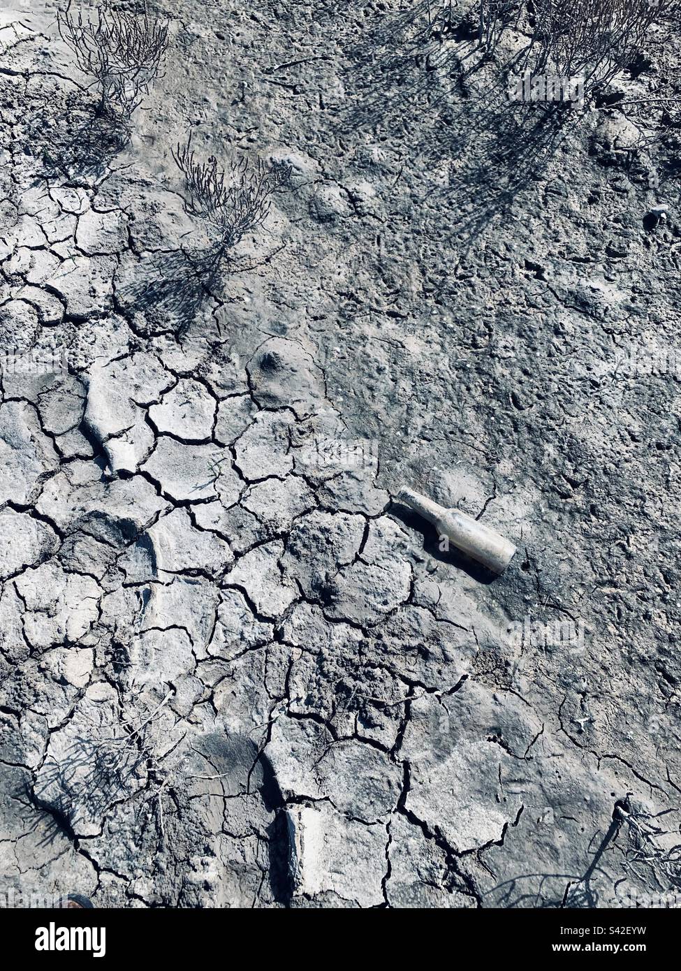 Dried mud and beer bottle, environmental pollution Stock Photo - Alamy