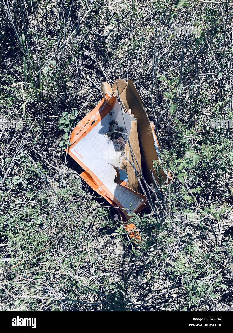 Dried mud and take away pizza box, environmental pollution Stock Photo ...
