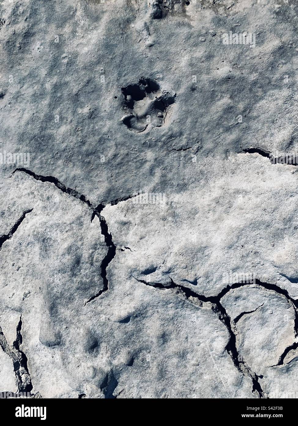 Footprint mud hi-res stock photography and images - Alamy