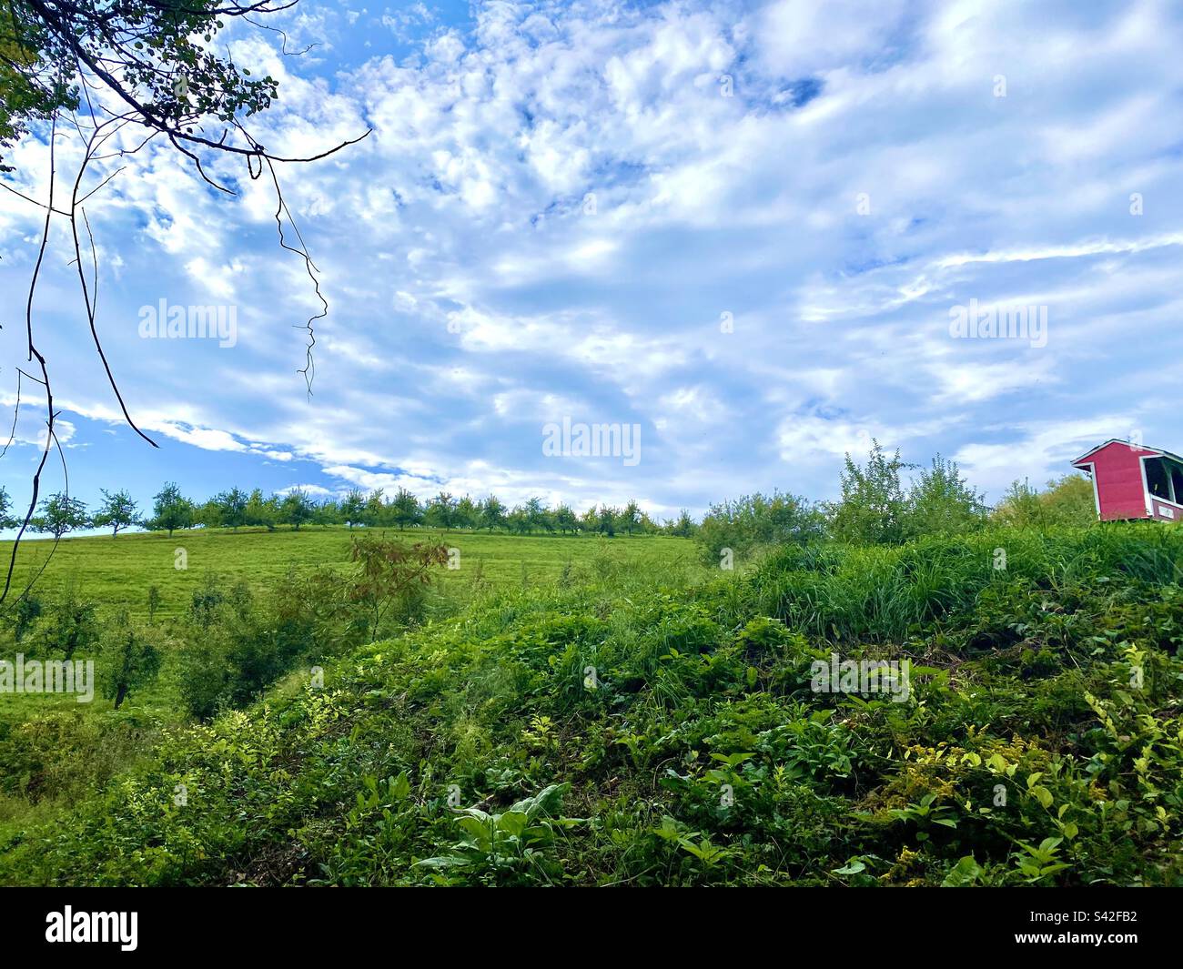 Partly sunny sky hi-res stock photography and images - Alamy