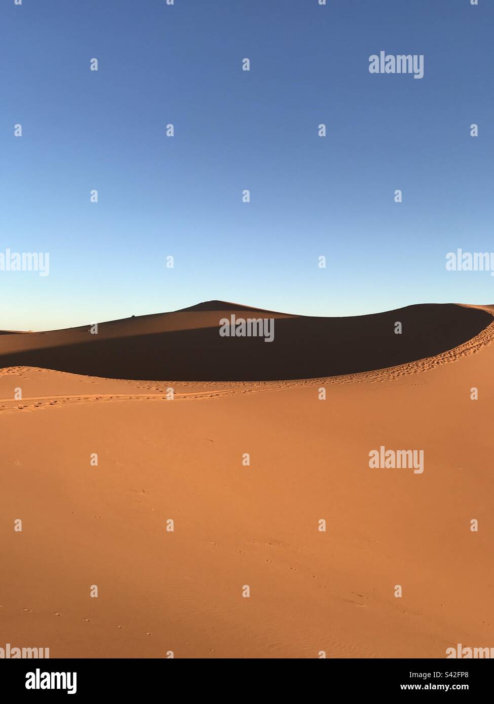 Sanddune desert hi-res stock photography and images - Alamy