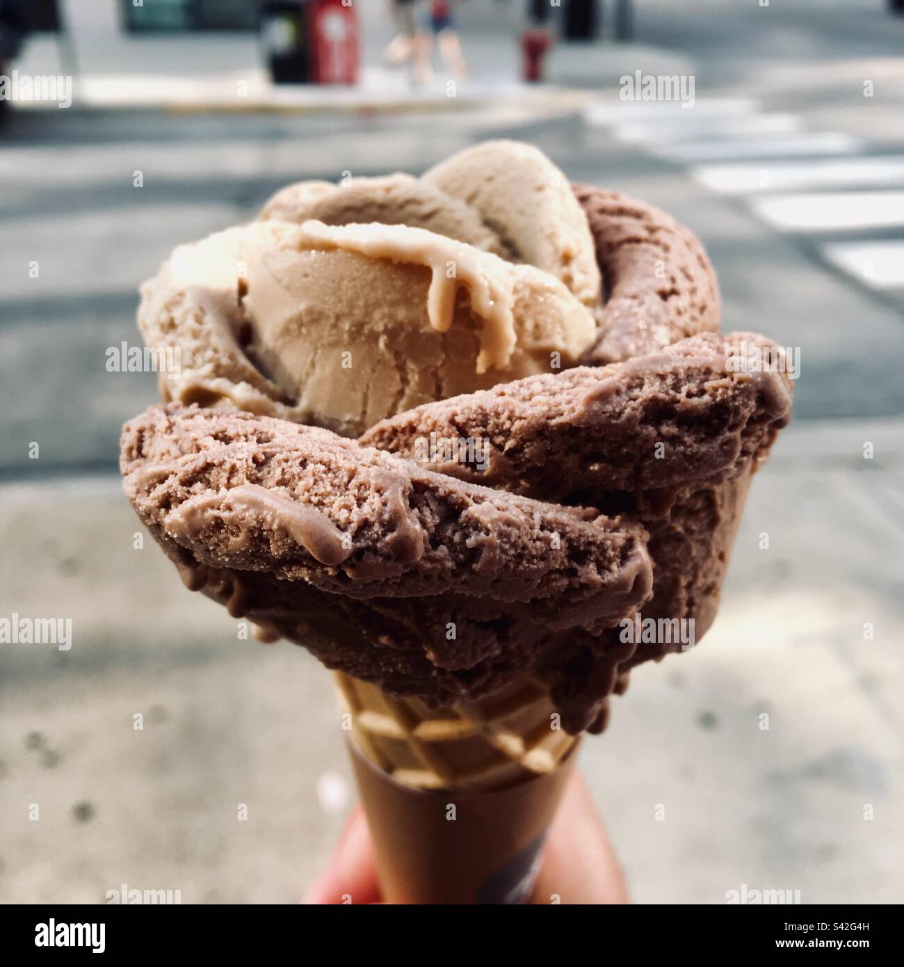 Cone shape flower hi-res stock photography and images - Alamy