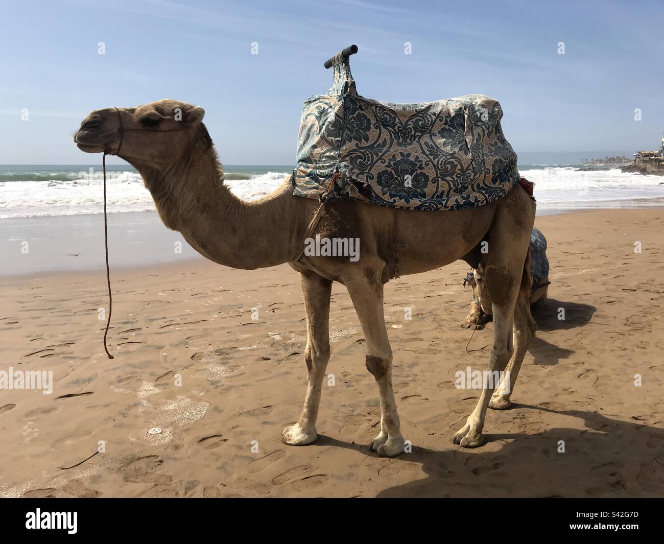 Marokko beach hi-res stock photography and images - Alamy