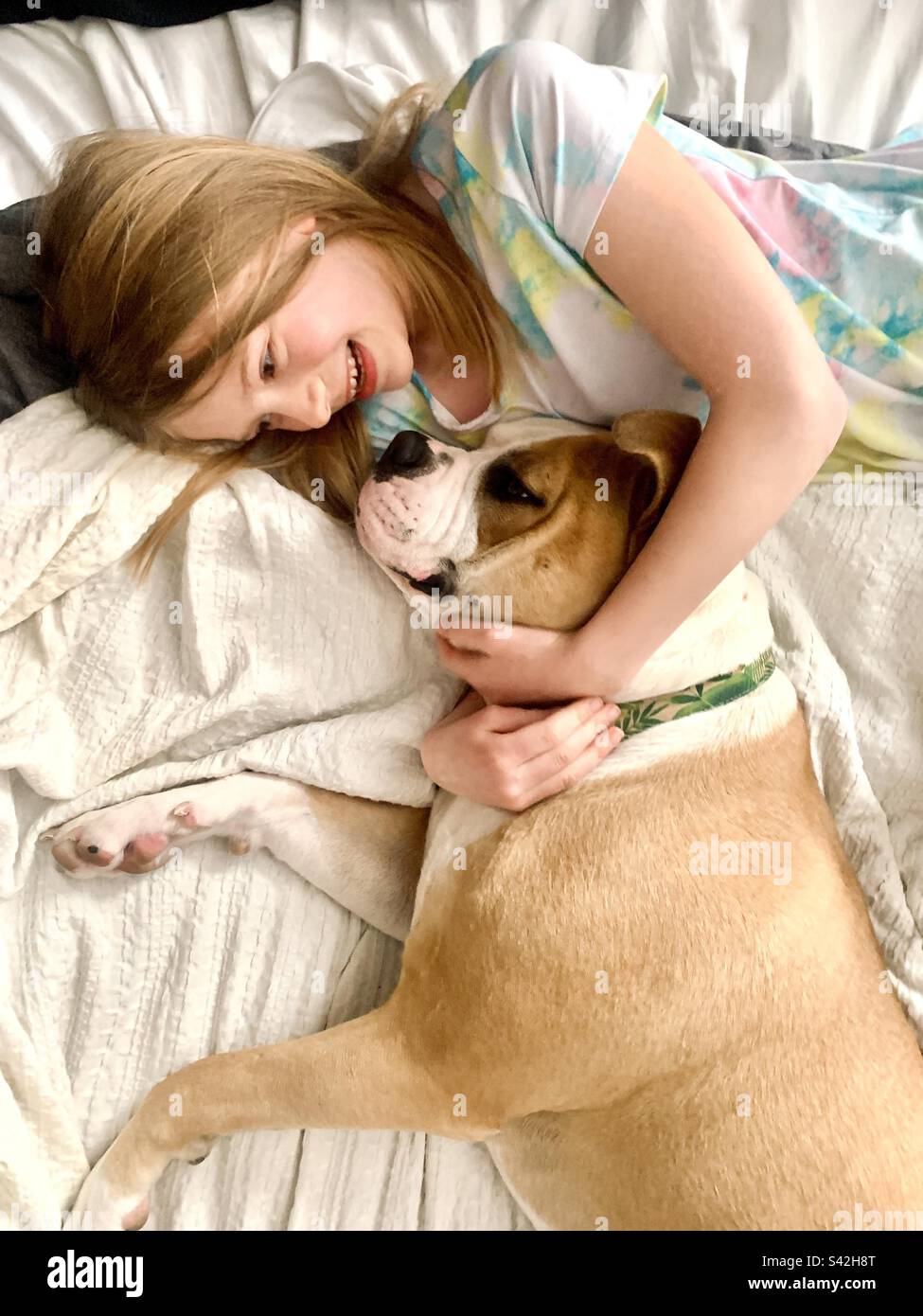Girl and her dog snuggling at home Stock Photo - Alamy