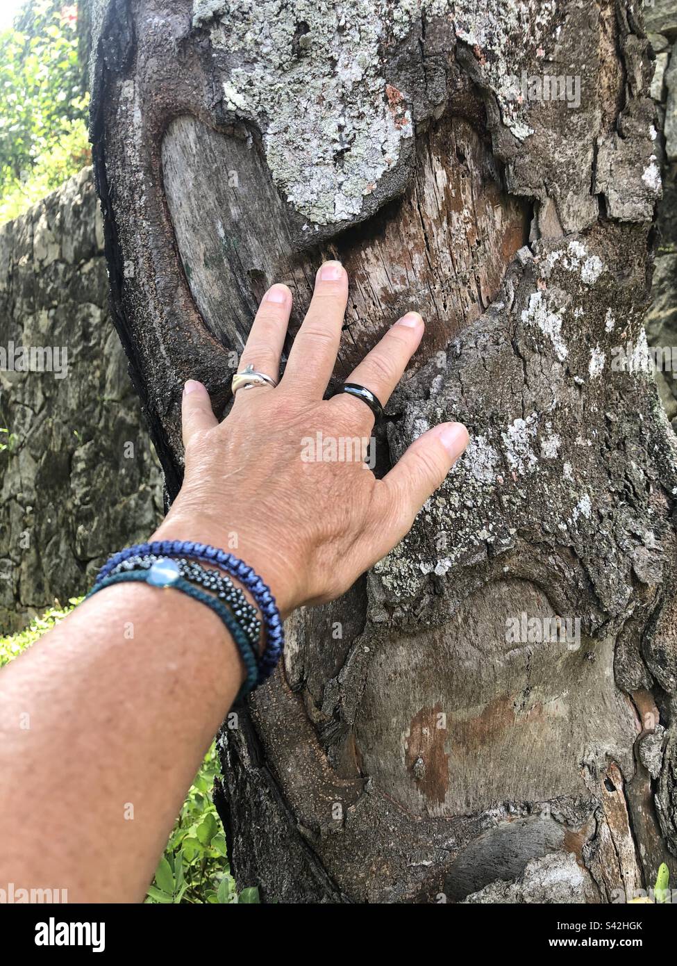 A woman touching a tree trunk Stock Photo - Alamy
