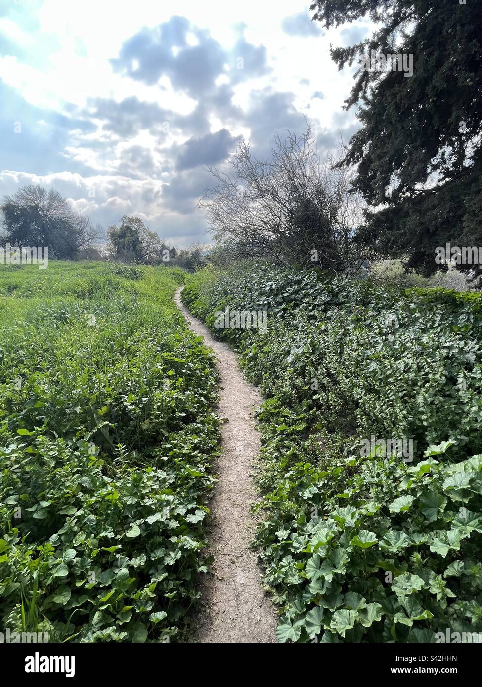 The road landscape Stock Photo - Alamy