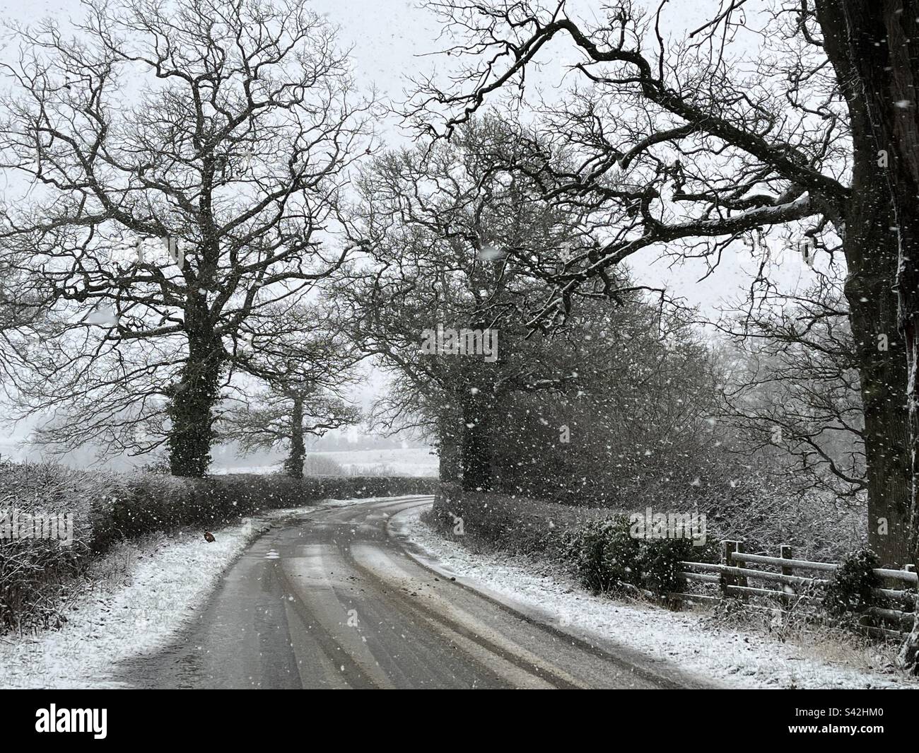 Snowing falling on country roads in Warwickshire on Friday 10th March ...