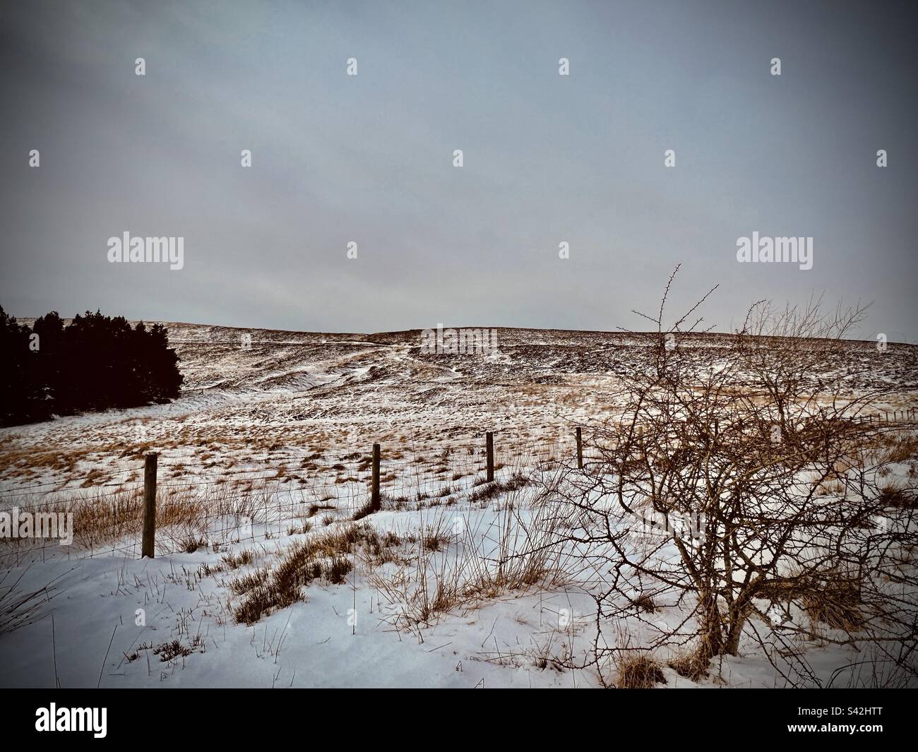 Cats Tor, Goyt Valley in the snow Stock Photo - Alamy