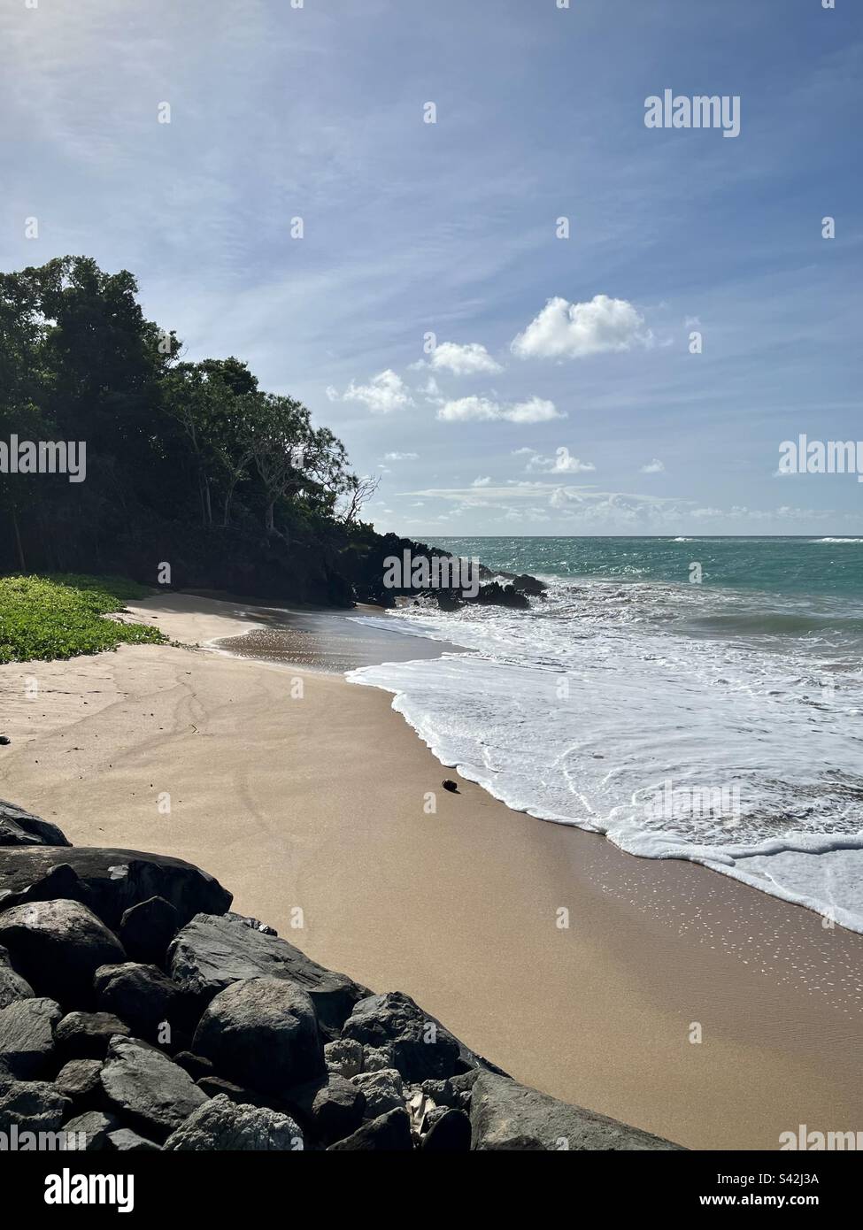 View of a small wild sandy beach in the Caribbean. Photo taken in ...