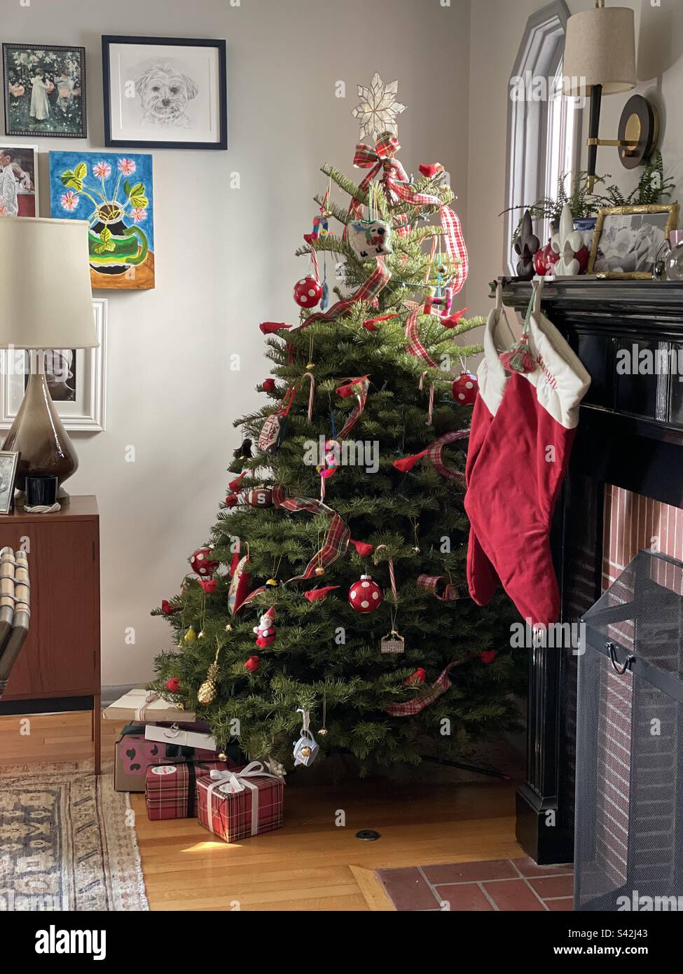 Family Christmas tree fully decorated Stock Photo - Alamy