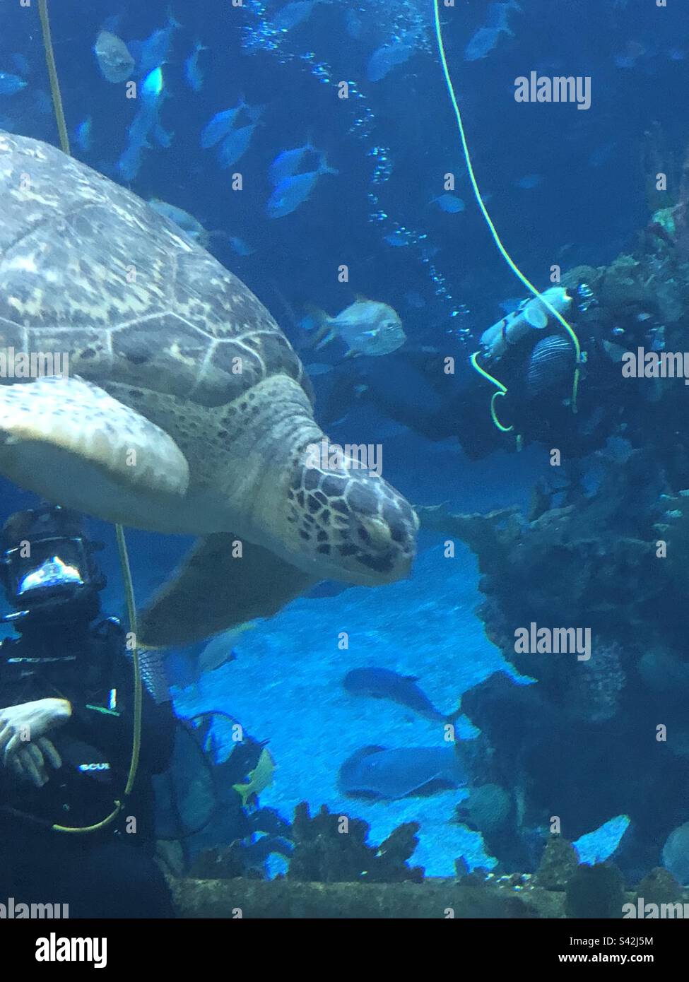 Look for water hi-res stock photography and images - Alamy