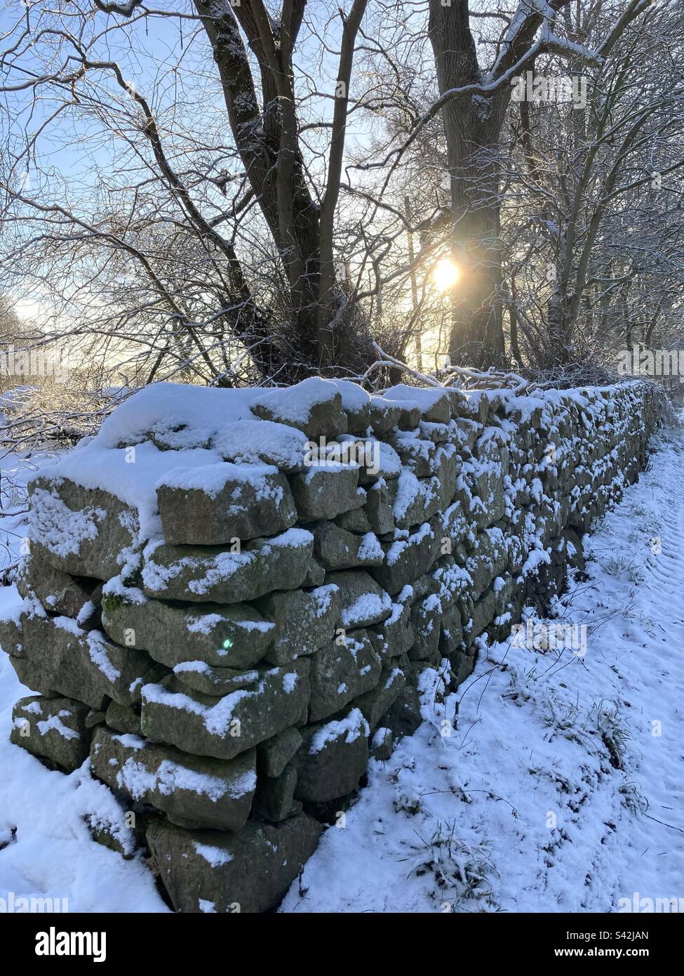 Covered stone wall hi-res stock photography and images - Alamy