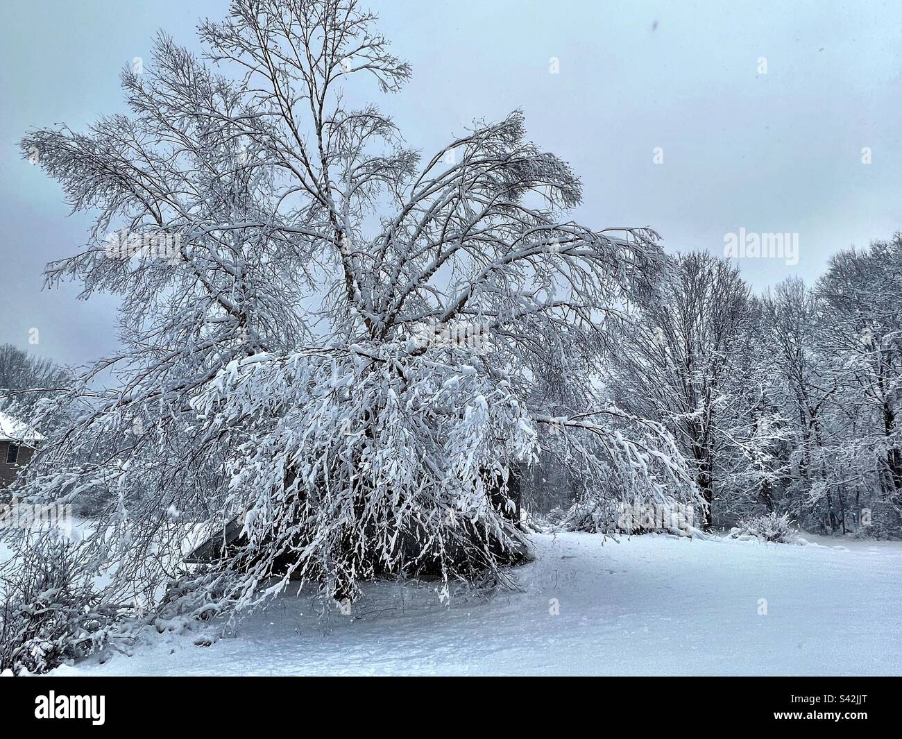 6 inches of snow hi-res stock photography and images - Alamy