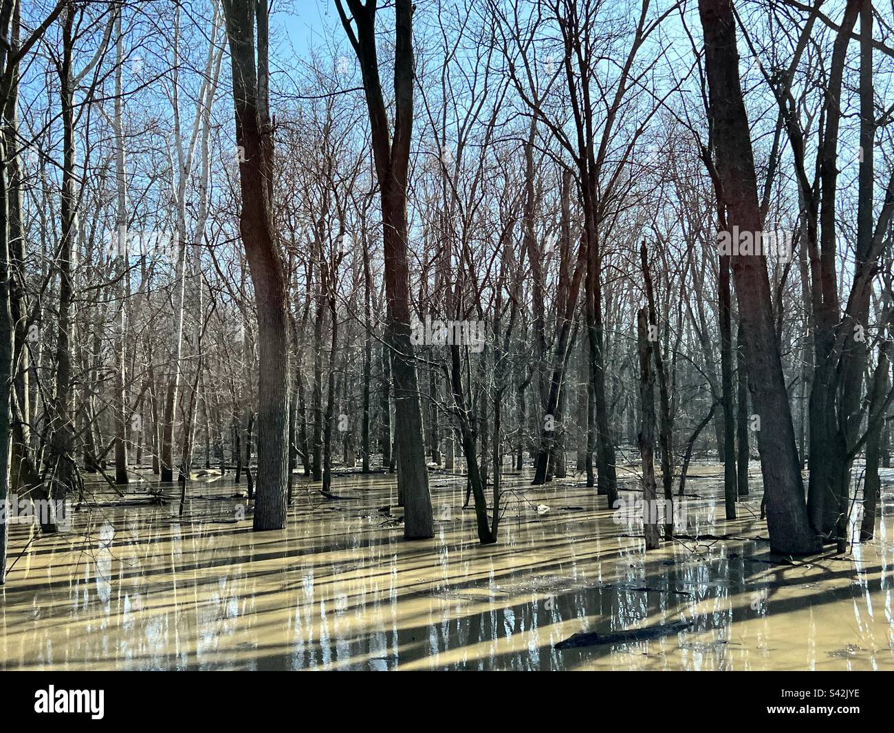 Flooding after days of heavy rain Stock Photo - Alamy