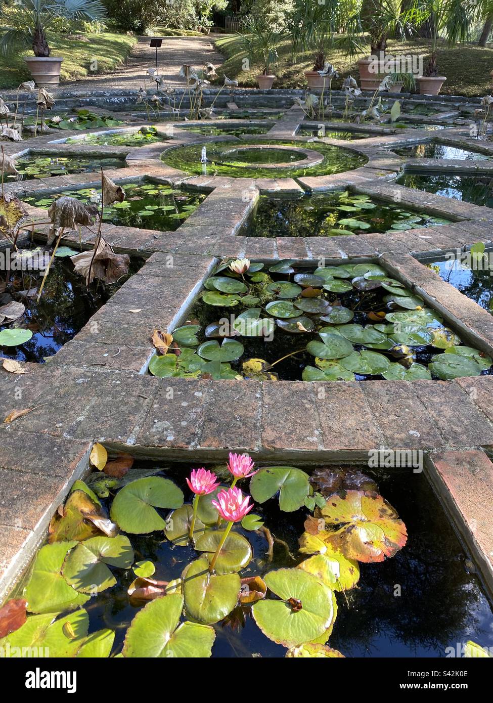 Stagno hi-res stock photography and images - Alamy