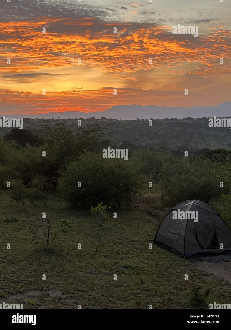 Zelten camping hi-res stock photography and images - Alamy