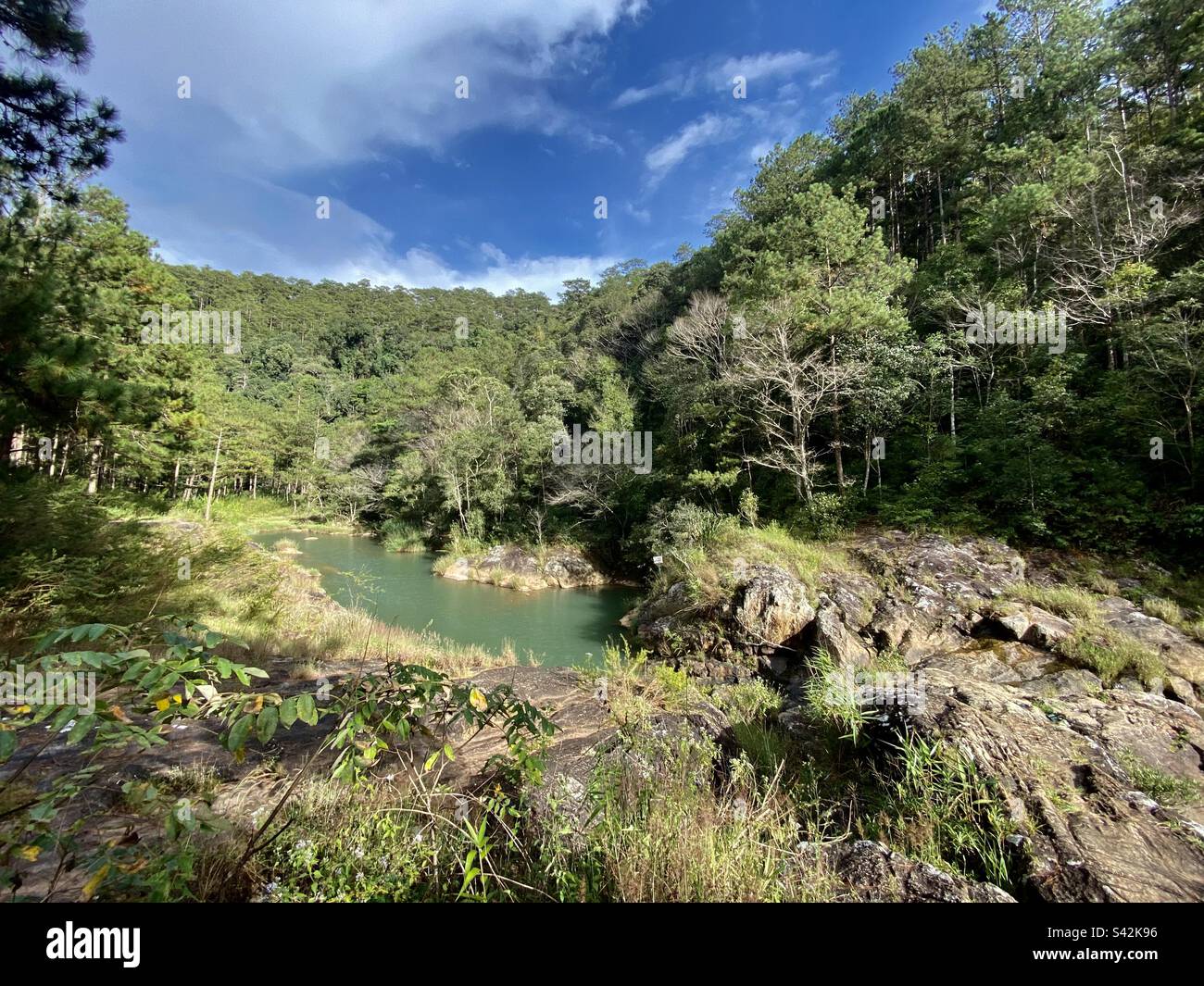 Nam tree hi-res stock photography and images - Alamy