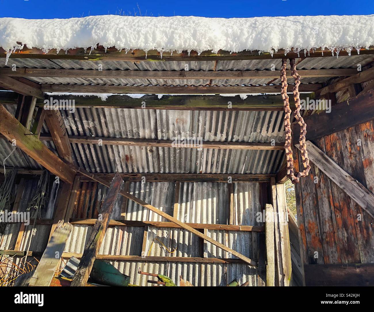 ‘The Shed’ a farms old outside shed lets in the natural sunlight, in ...