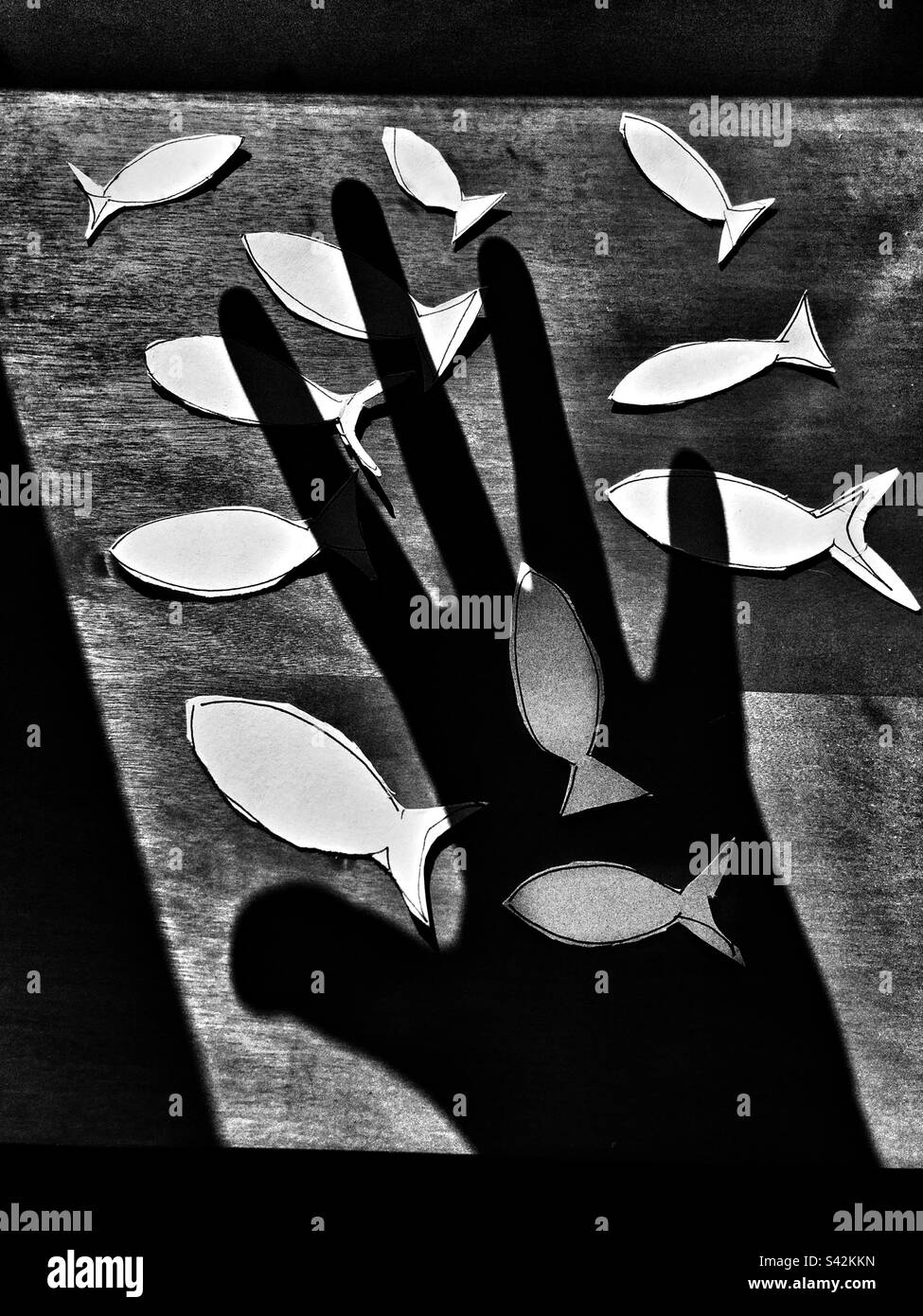 Shadow of a hand over fish made of paper Stock Photo - Alamy