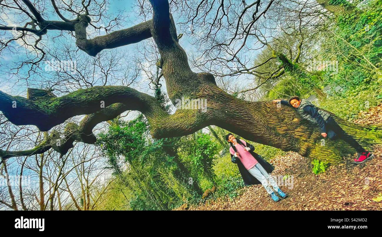 Children in the woods Stock Photo - Alamy