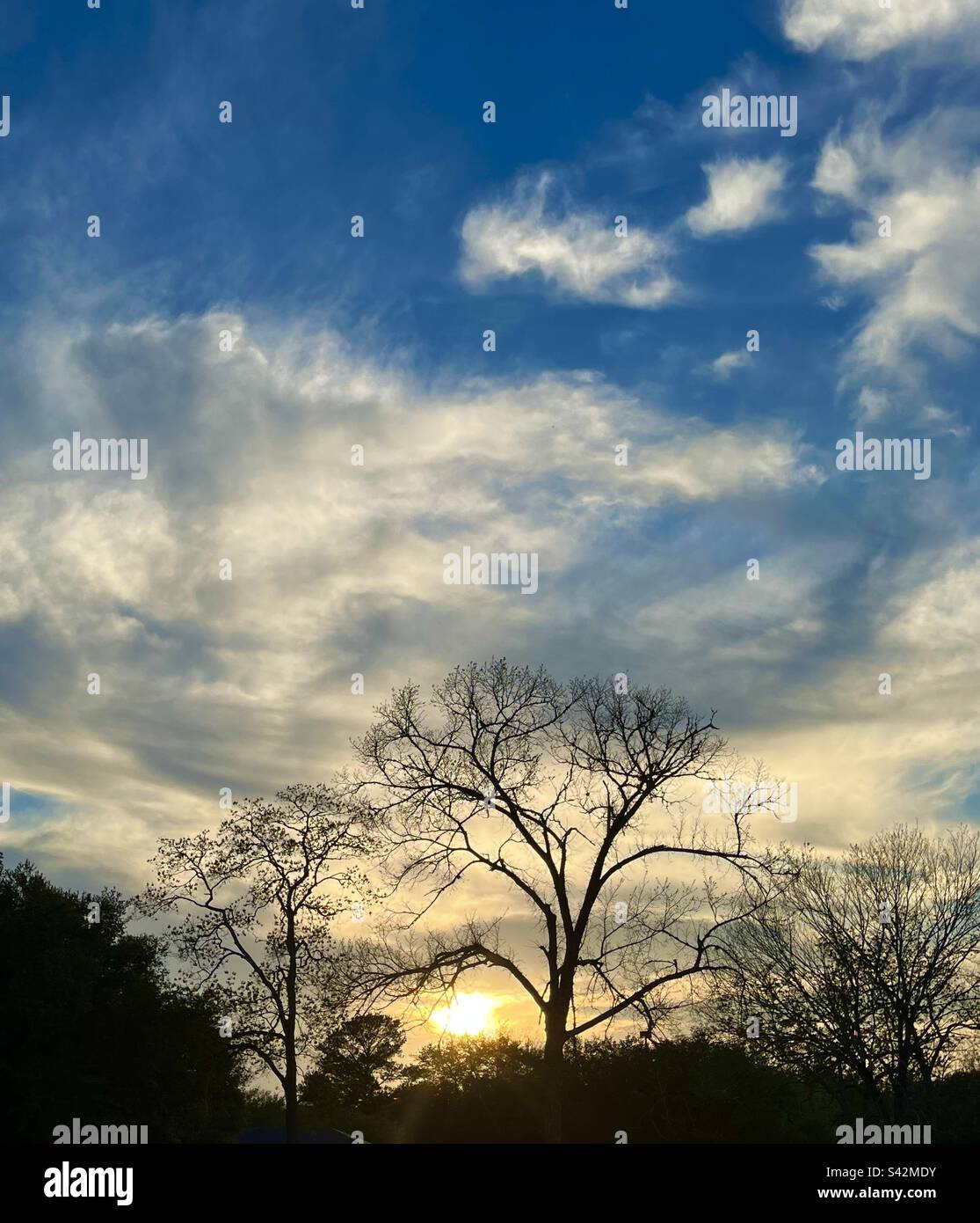 Bright evening sky hi-res stock photography and images - Alamy