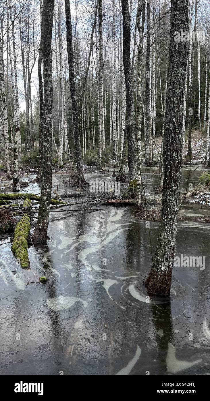 Frozen shapes hi-res stock photography and images - Alamy