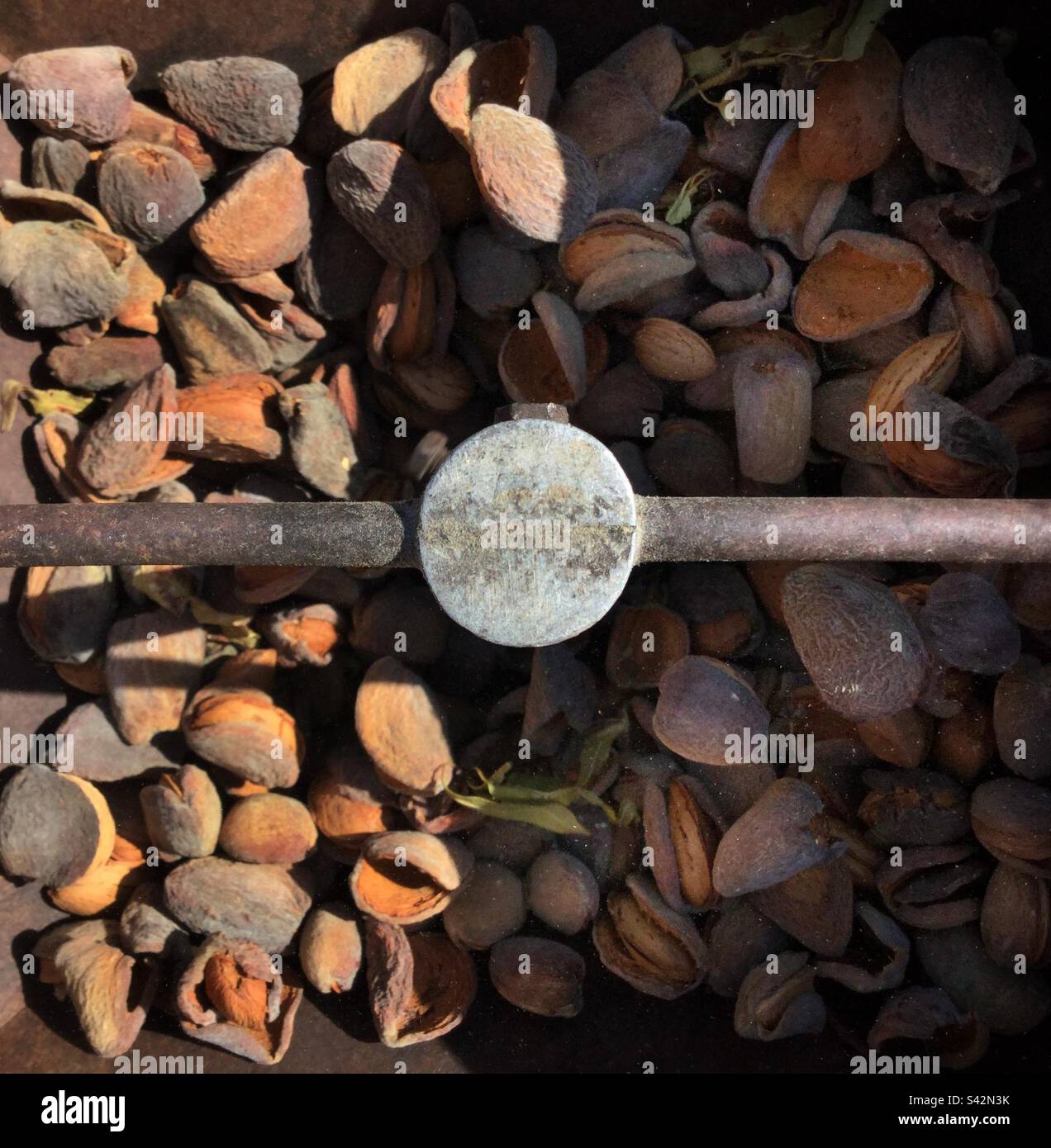 Almond dehusking hi-res stock photography and images - Alamy