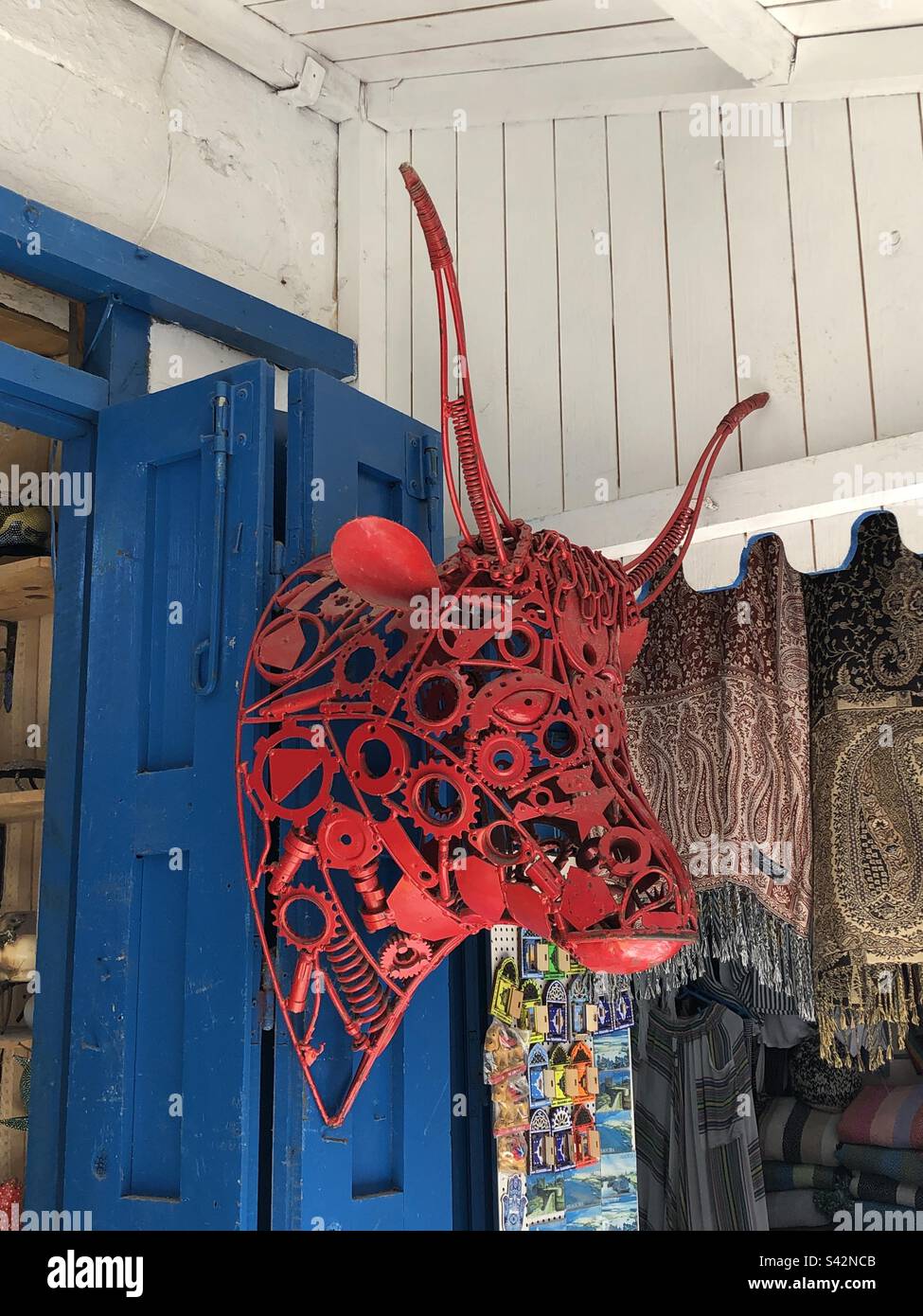 Bull at window hi-res stock photography and images - Alamy