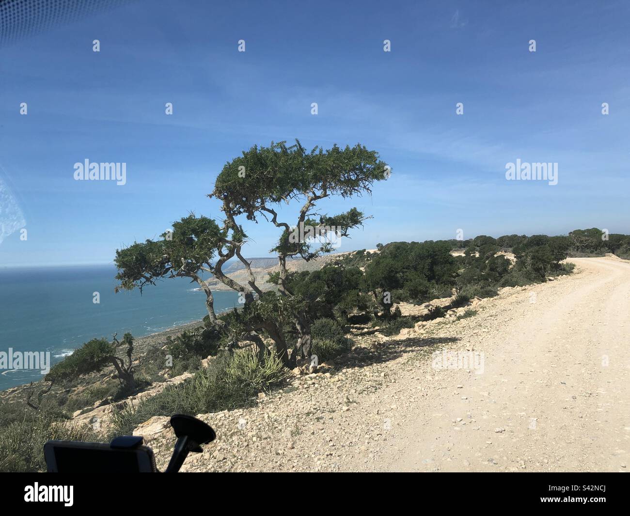 Argan maroc hi-res stock photography and images - Alamy