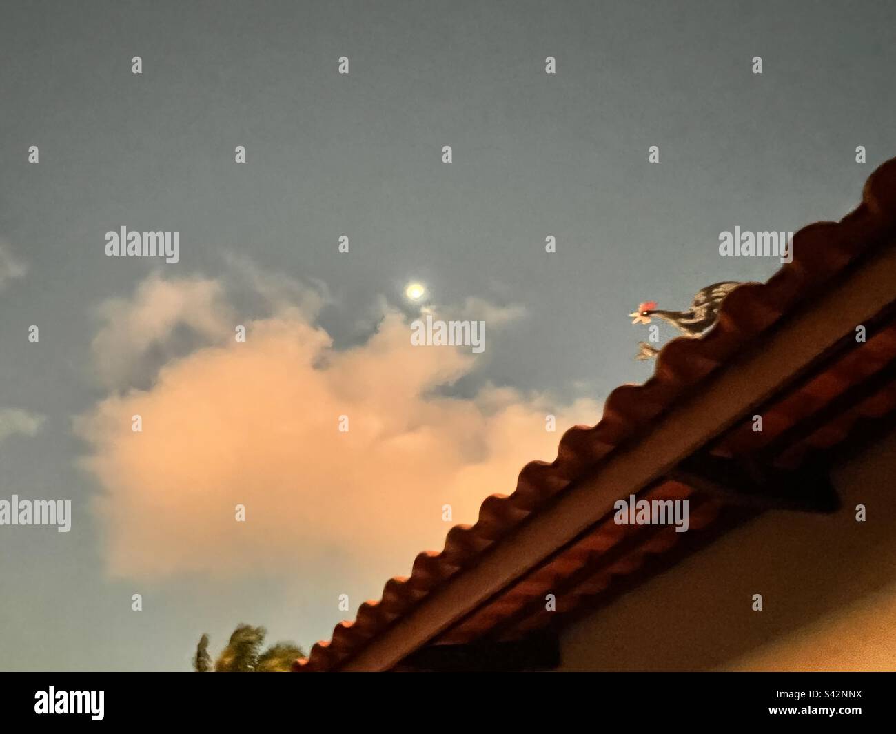 Vista de telhado hi-res stock photography and images - Alamy