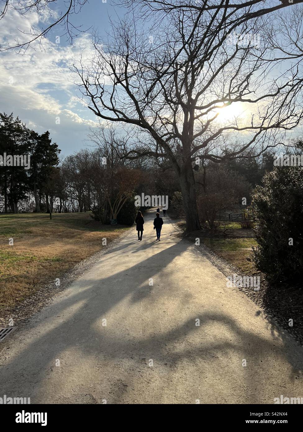 Shadowy hi-res stock photography and images - Alamy