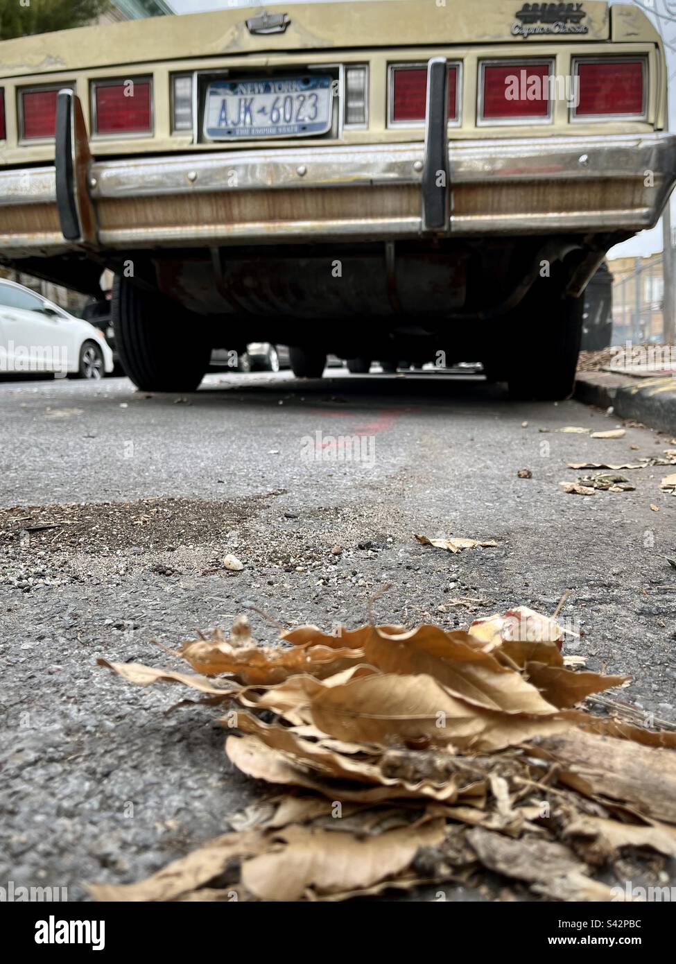 View of the back of an old American car on a Brooklyn street. Photo ...