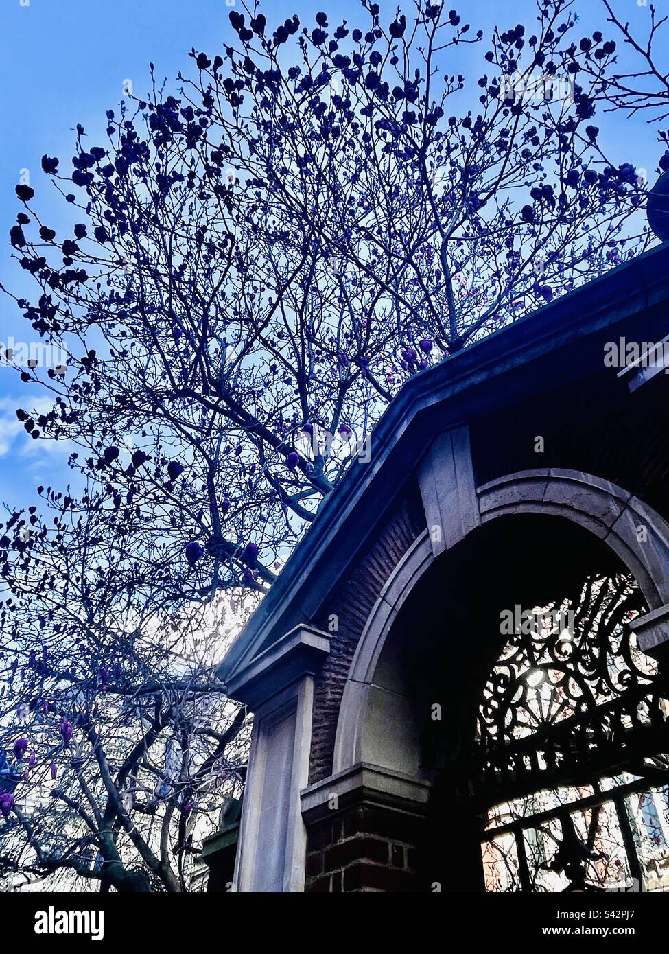 Silhouette of city hall hi-res stock photography and images - Alamy