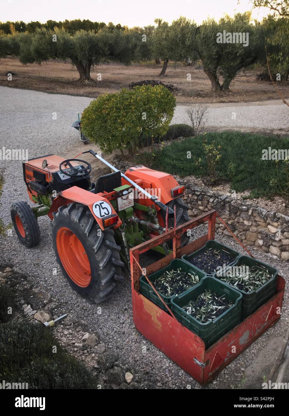 Olives harvest tractor hi-res stock photography and images - Alamy