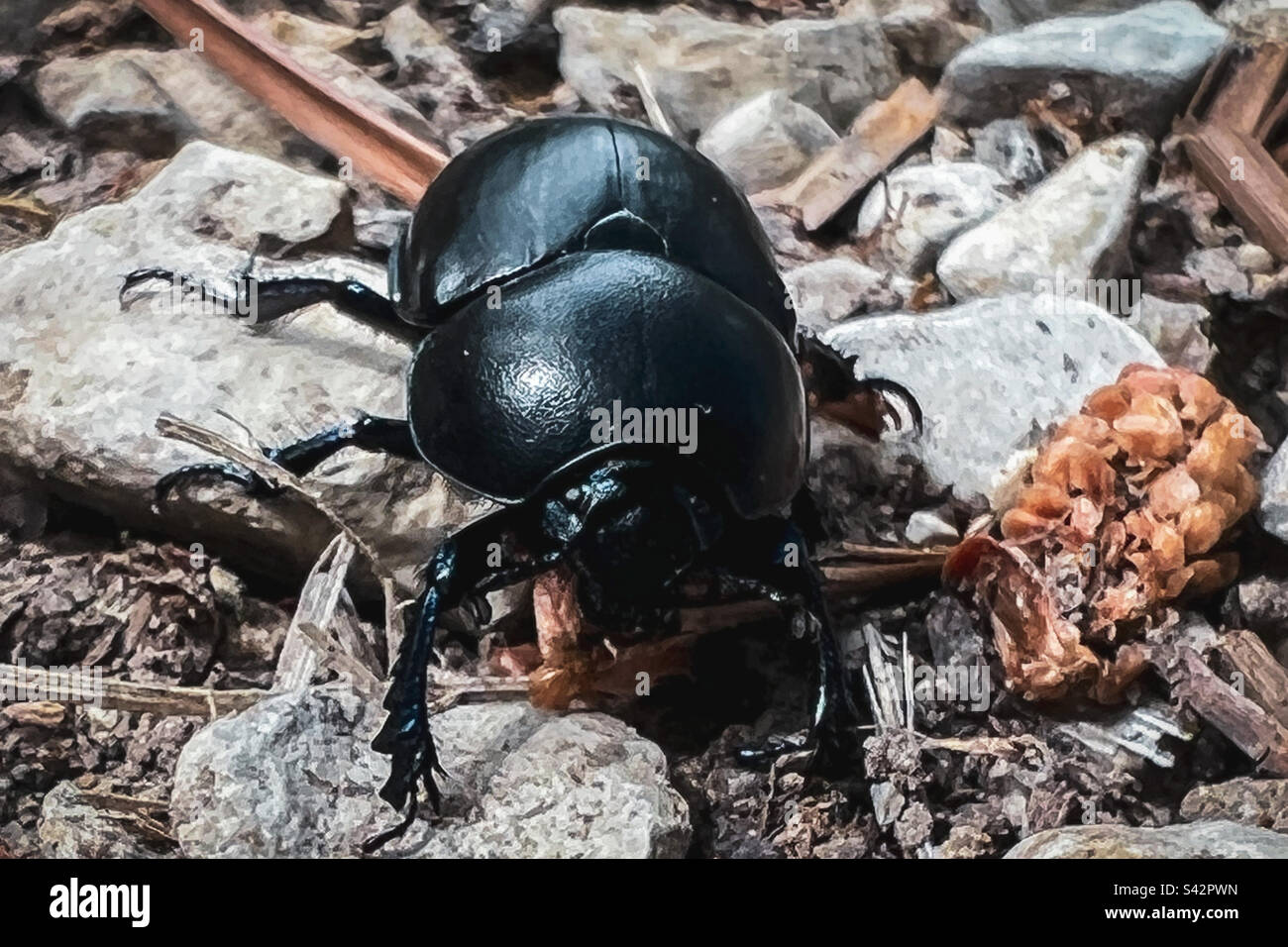 Rando nature hi-res stock photography and images - Alamy